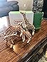 Amazon.com: TOYMANY 4PCS Realistic Giraffe Figurines with Giraffe Cub ...