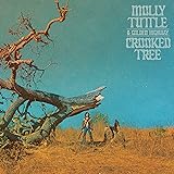 Crooked Still - Shaken By A Low Sound - Amazon.com Music