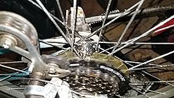 Amazon.com : Shimano MF-TZ31 Tourney Freewheel (14-34T Mega 7 Speed ...