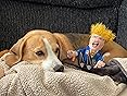 Pet Supplies : FUZZU Donald Trump Political Parody Novelty Durable Dog ...