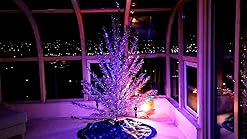 EagleLight Color Changing LED Light Bulb and Remote test ethan (multi ...