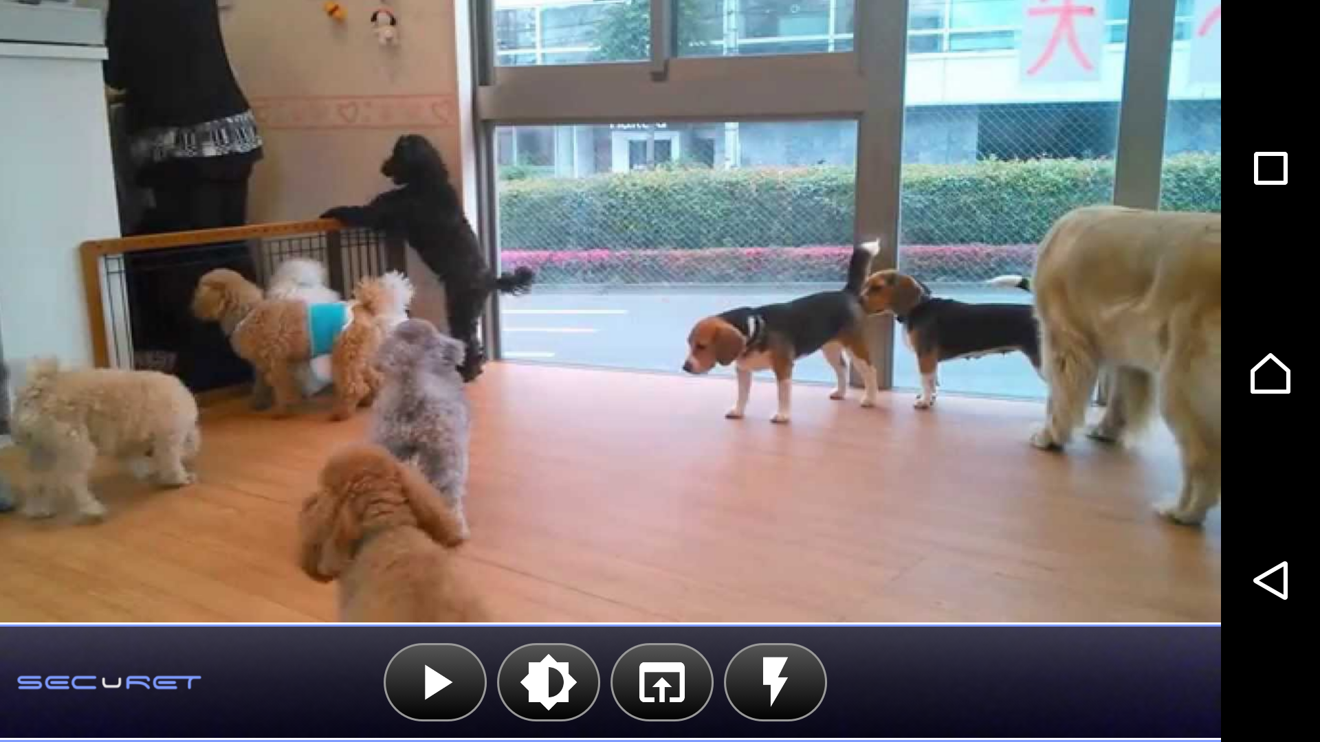 SECuRET ProCam:Amazon.co.uk:Appstore for Android