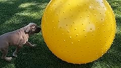 Amazon.com: 36" Knobby Bouncy Ball with Handle (Colors may vary): Toys ...