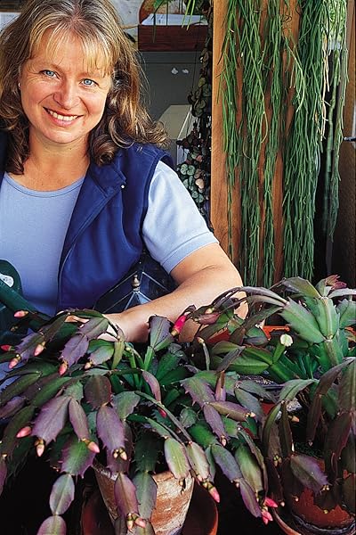 The Conservatory Gardener: Amazon.co.uk: Swithinbank, Anne, Bown, Deni ...