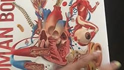 Human Body! (Knowledge Encyclopedias): DK, Smithsonian Institution: 9781465462398: Amazon.com: Books