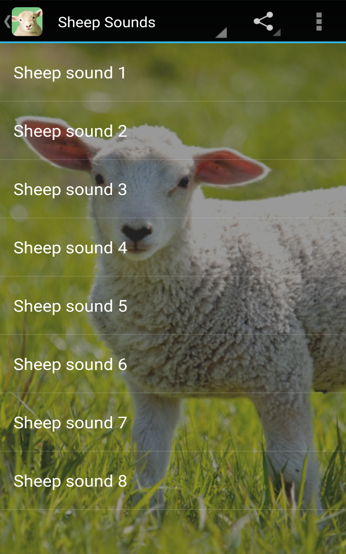 Sheep Sounds Amazon br Appstore For Android