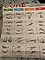 Core Complete Workout - Laminated Chart /... by Becky Swan