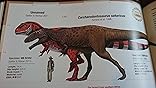 The Encyclopedia of Dinosaurs: The Theropods: Amazon.co.uk: Molina ...