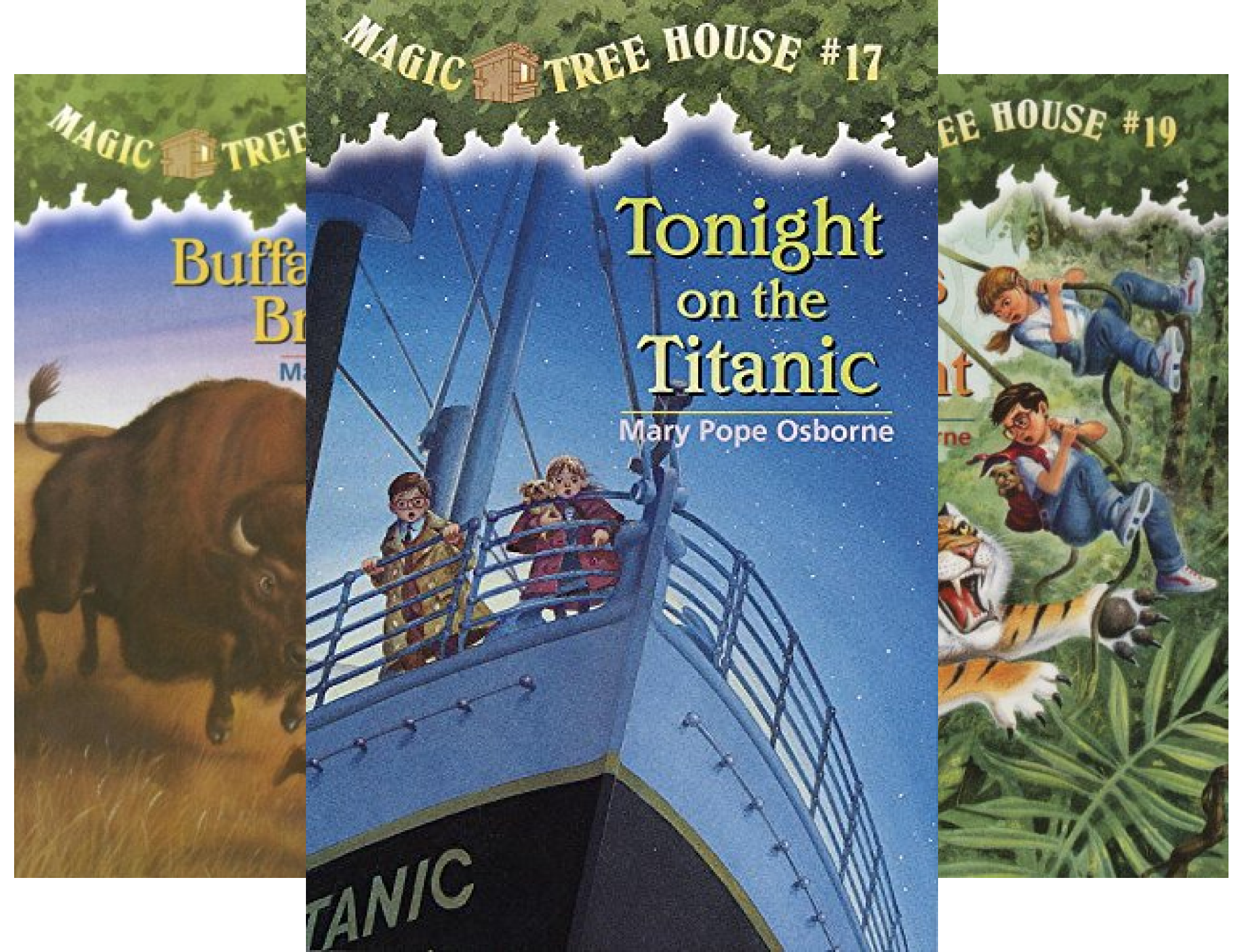 10 Best Magic Tree House Children s Lion Tiger Leopard Books Best 