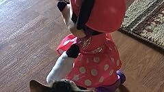 Amazon.com: Minnie Mouse Super Roller-Skating Minnie: Toys & Games