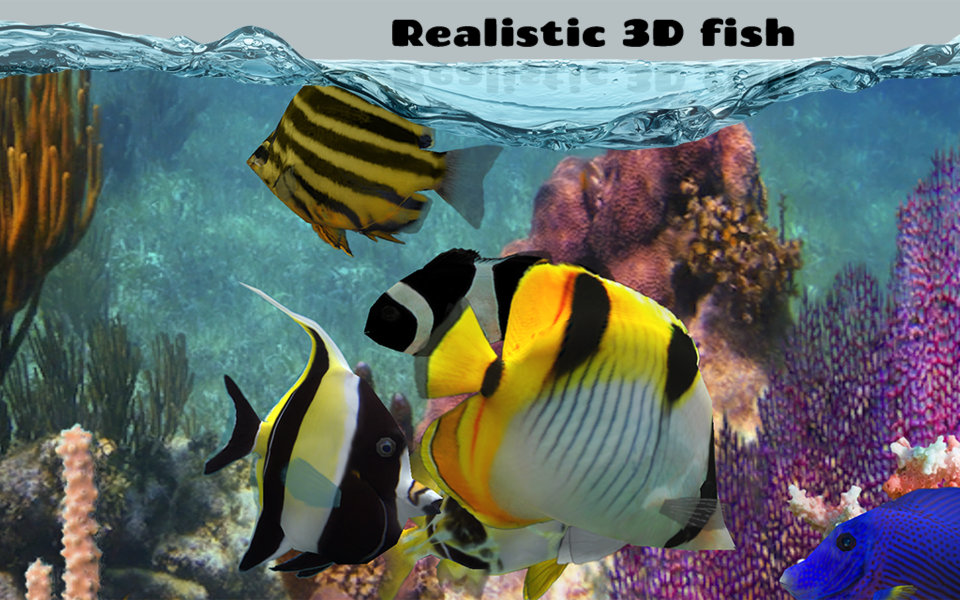 Fish Farm 2:Amazon.de:Appstore for Android