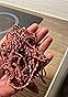 Amazon.com: Goodbye Detergent All Purpose Spaghetti Scrub - Reuseable ...