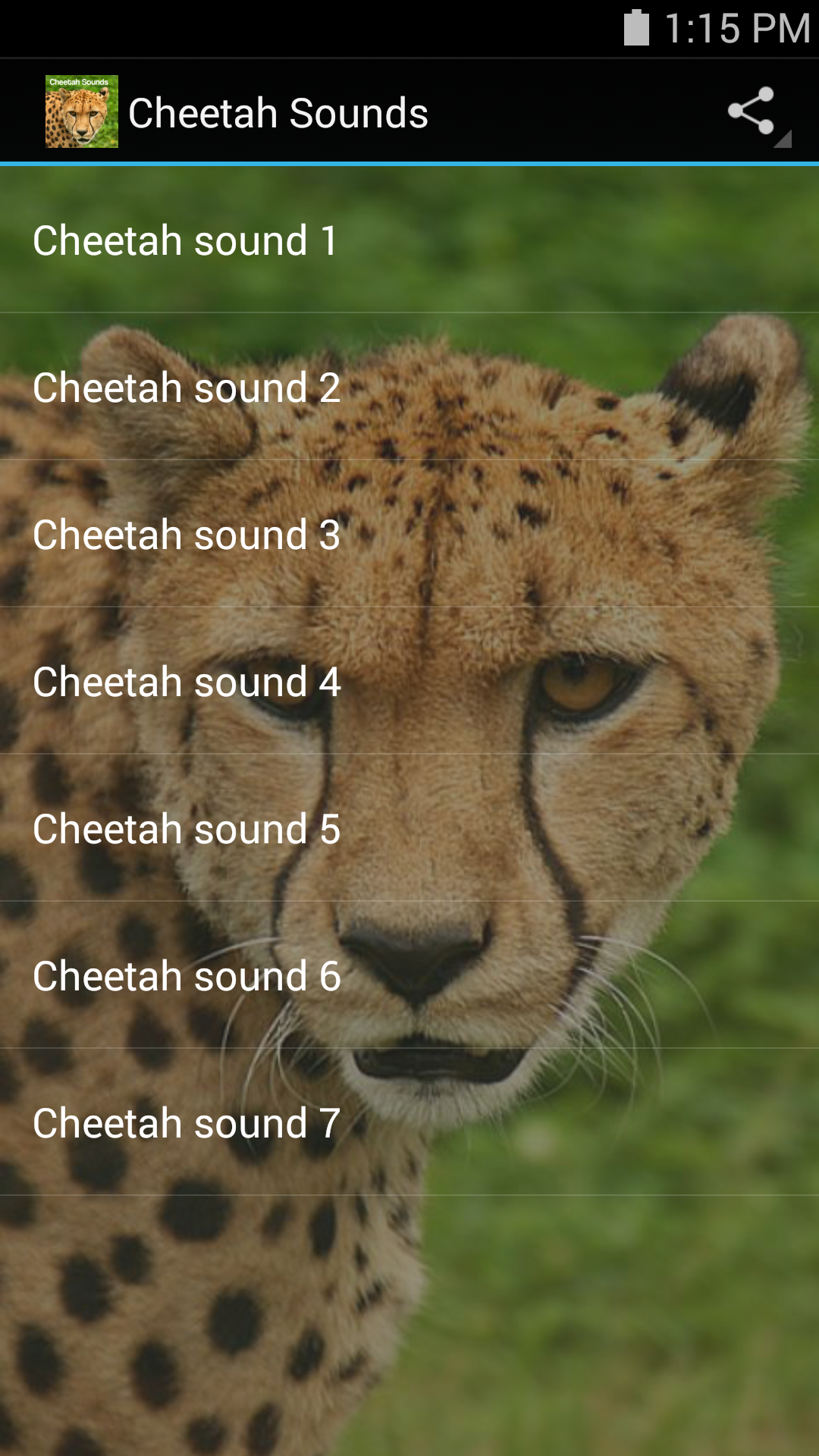 Cheetah Sounds : Amazon.ca: Apps for Android