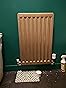 Fascinating Finishes Ltd 1 x 150ml Gold Heat Resistant Satin Radiator ...