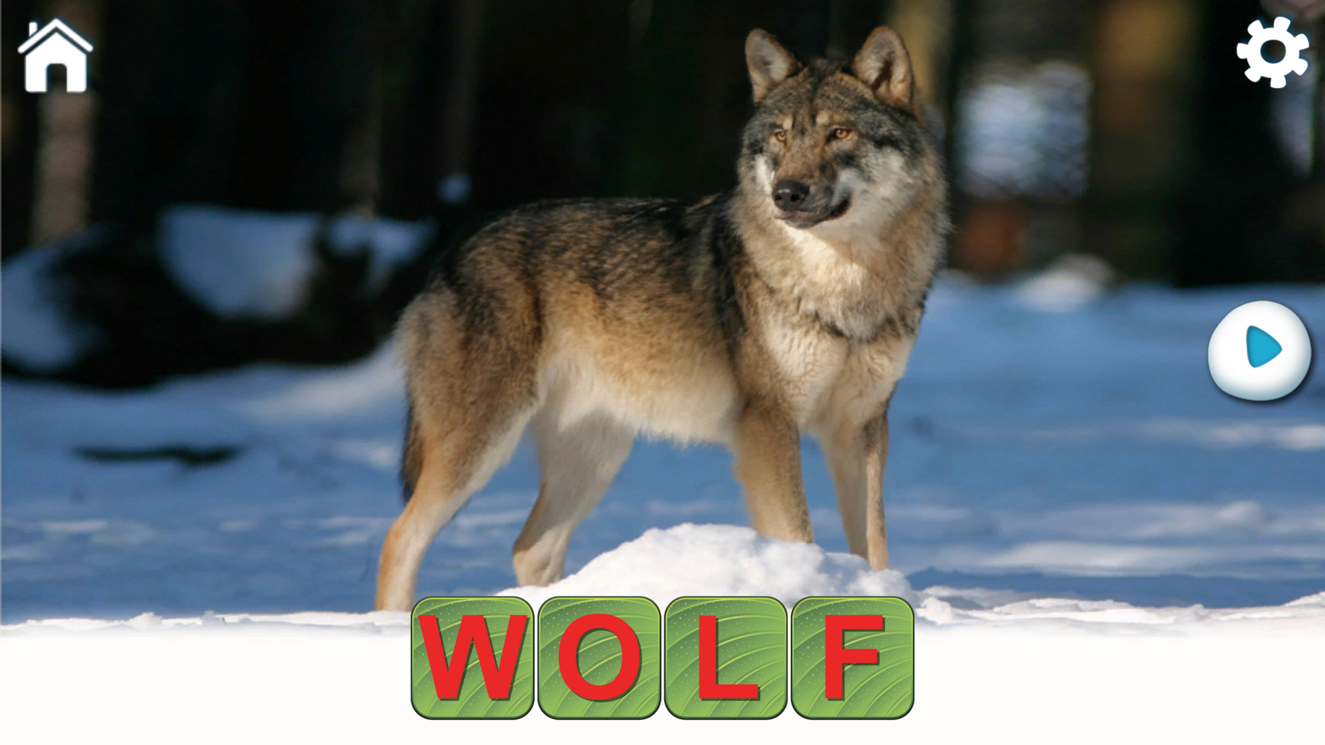 Learn to Read & Save the Animals, ABC, Phonics method of teaching ...