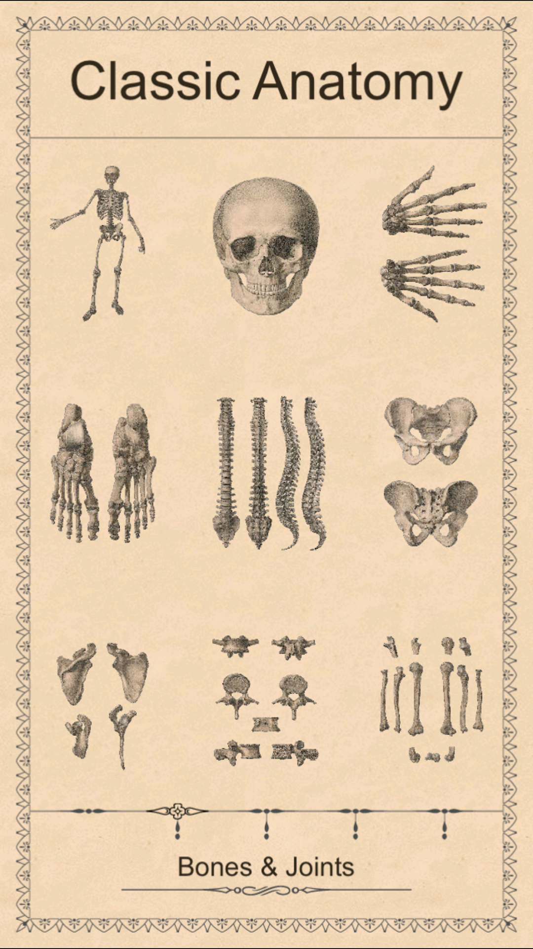 Classic Anatomy:Amazon.com:Appstore for Android