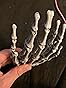 Amazon.com: 10 Pieces Halloween Skeleton Hands Plastic Human Hand Bone ...