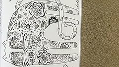 Amazon.com: The Art of Laurel Burch™ Coloring Postcard Book: 20 Iconic ...