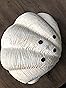 Amazon.com: HomArt Cement Cast Clam Shell - Antique White … (1 ...