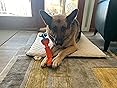 Pet Supplies : ChuckIt! Rugged Bumper Dog Toy, Small : Amazon.com