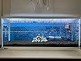 Amazon | GEX AQUARIUM デスクボーイWH600 奥行きスリム17cm コーナーパワーフィルター付属 水槽2年保証ホワイトフレーム水槽W60×D17×H25.4cm 約21L ...