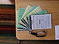 Amazon.com : Canon DSLR Cheat Sheets Tip Cards for 80D 77D 70D EOS ...