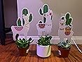 Amazon.com: Llama Cactus Banner Garland Party Decorations Fiesta Theme ...