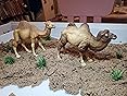 Amazon.com: Papo "Bactrian Camel" Figure : Toys & Games