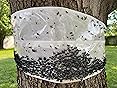 Amazon.com : Tree Shield Insect Barrier by Catchmaster - 12 Rolls 30 ...