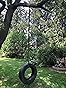 Amazon.com: Tree Swing Strap Hanging Kit – 10ft Strap, Holds 2800 lbs ...