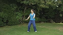 Amazon.com: Tai Chi for Women Beginner Exercises with Master Helen Liang (YMAA) **NEW ...