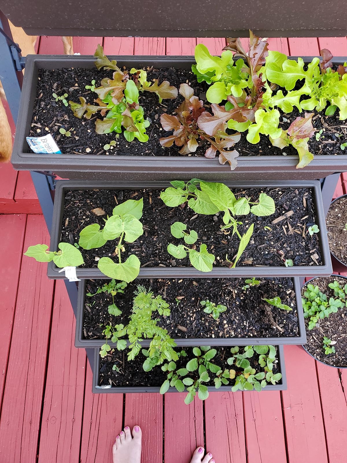 Sturdy, nice growing space, I'm happy!