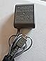 Amazon.com: Nintendo Genuine OEM DS Lite Foldable Flip AC Adapter ...