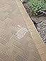 Amazon.com: Paver Magic - High Power Concrete, Brick and Paver Cleaner ...