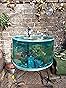 Garden Water Feature - Pop Up Pond Aquarium : Amazon.co.uk: Garden