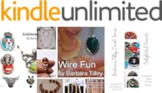 Wire Fun: A step by step guide to beginning wire wrapping (Barbara ...