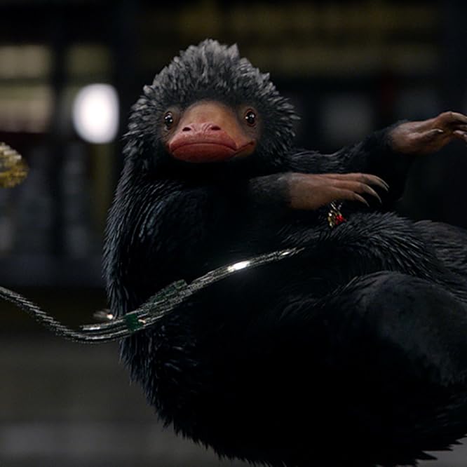 IMDb Picks - 10 Beasts in 'Fantastic Beasts and Where to Find Them' - IMDb