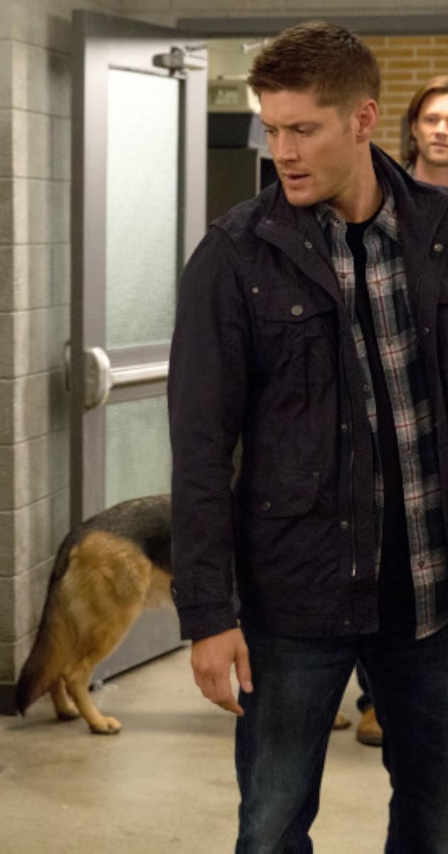 "Supernatural" Dog Dean Afternoon (TV Episode 2013) - IMDb