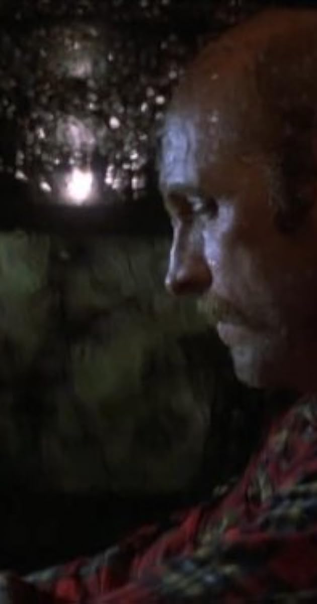 "The Incredible Hulk" Another Path (TV Episode 1978) - IMDb