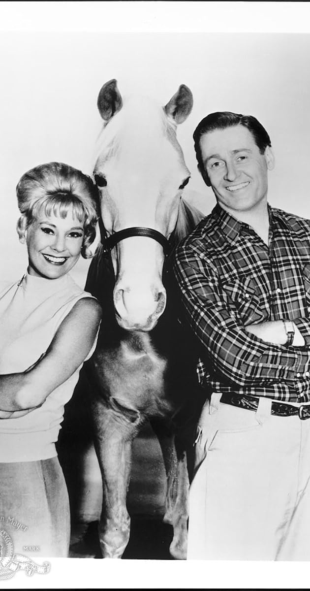 Pictures & Photos from Mister Ed (TV Series 1958–1966) - IMDb