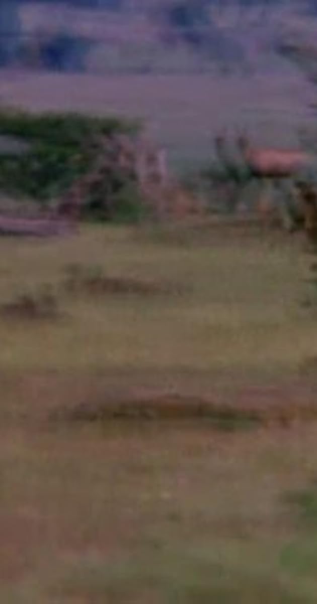 "Little Einsteins" Rocket Safari (TV Episode 2006) - IMDb