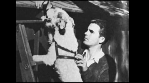 The Weatherwax Legacy (Video 2011) - IMDb