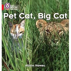 Pet Cat, Big Cat by Alison Hawes | LibraryThing