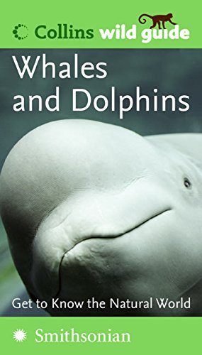 Whales and Dolphins (Collins Wild Guide) (Collins Wild Guides) by Mark ...
