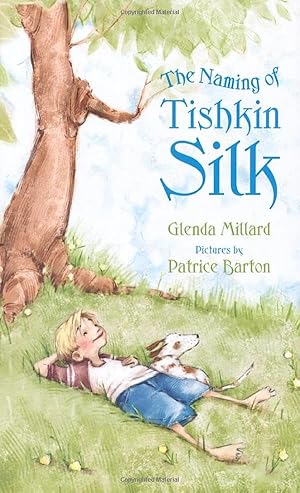 The Naming of Tishkin Silk by Glenda Millard | LibraryThing