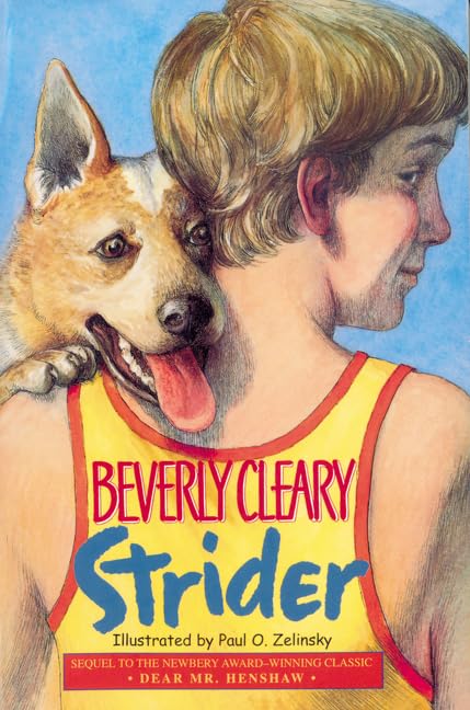 The eighteenth emergency by Betsy Byars