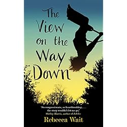 The View on the Way Down by Rebecca Wait | LibraryThing