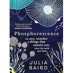 Phosphorescence: On Awe, Wonder, and Things That Sustain You When the ...