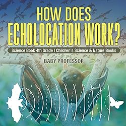 How Does Echolocation Work? Science Book 4th Grade Children's Science ...