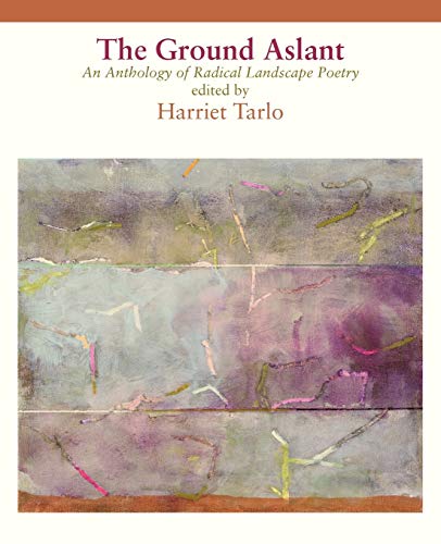 The ground aslant: an anthology of radical landscape poetry by Harriet ...